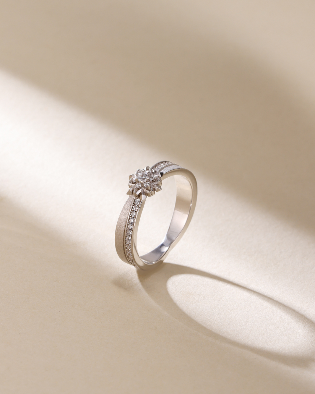 Affinity 100 Rings Series – VELNIC STUDIO